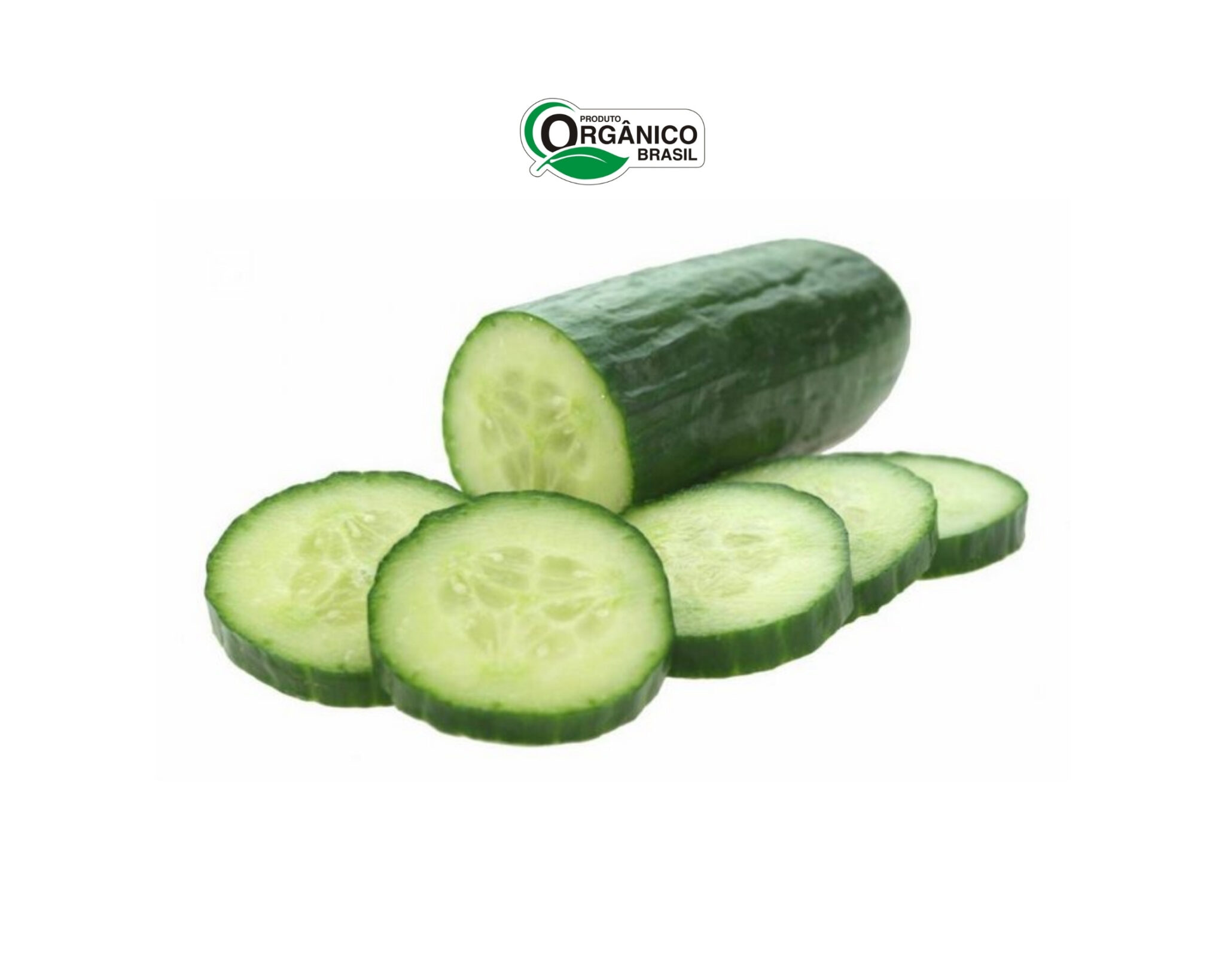 Blog - Fresh Orgânicos
